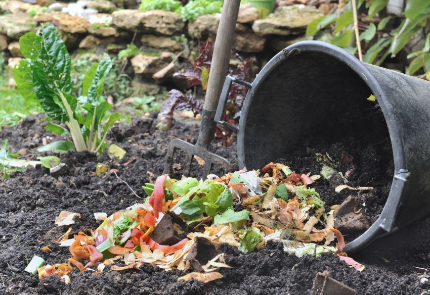 Qué es el compost orgánico - Sustrato Universal
